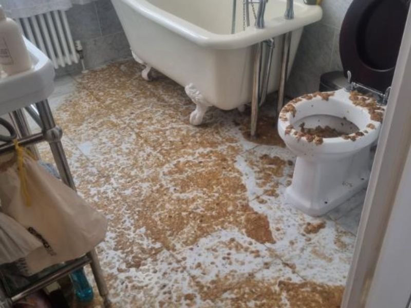 The Ultimate Guide to Student Accommodation Cleaning Services: Keeping ...